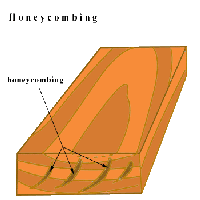 timber seasoning and Preservation