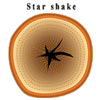 timber seasoning and Preservation