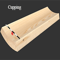 timber seasoning and Preservation