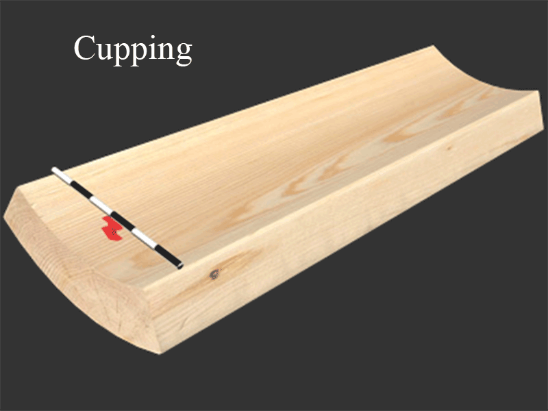 timber seasoning and Preservation