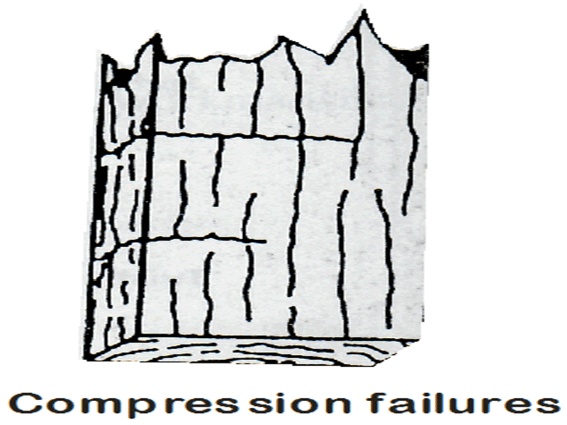 timber seasoning and Preservation