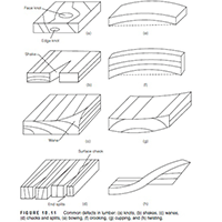 timber seasoning and Preservation